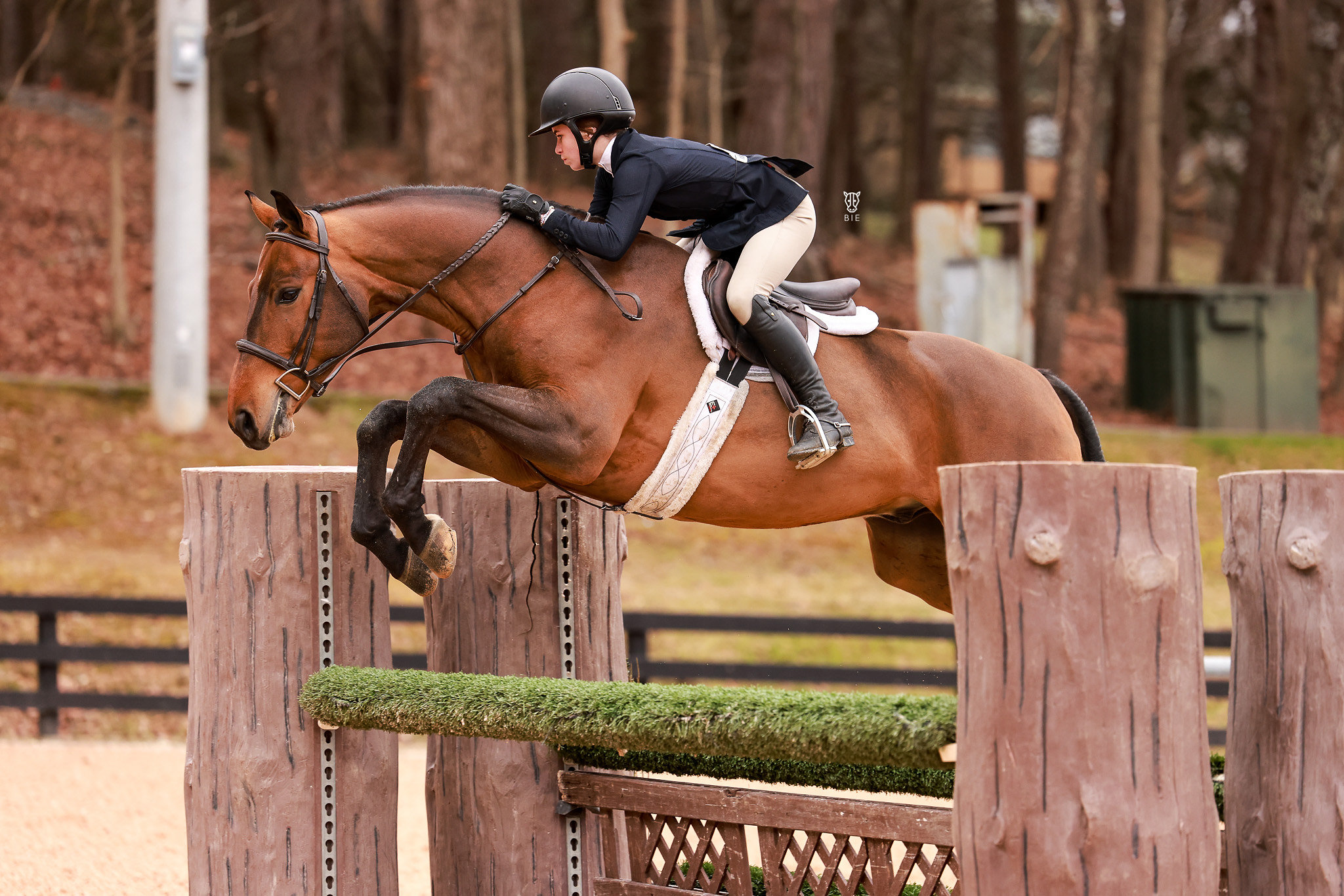 Gallery – Josephine Foshee