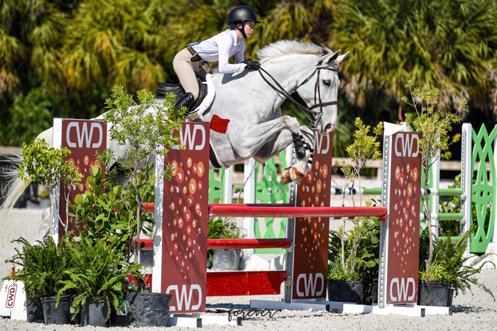 Gallery – Josephine Foshee